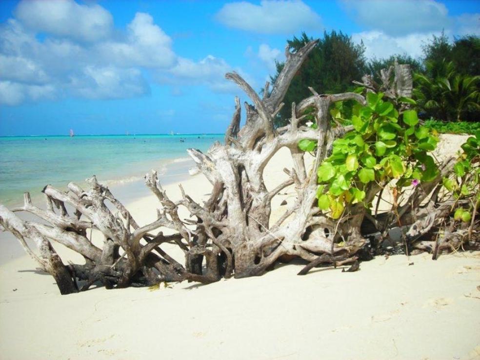 Severné Mariány - Saipan z Viedne od 699€